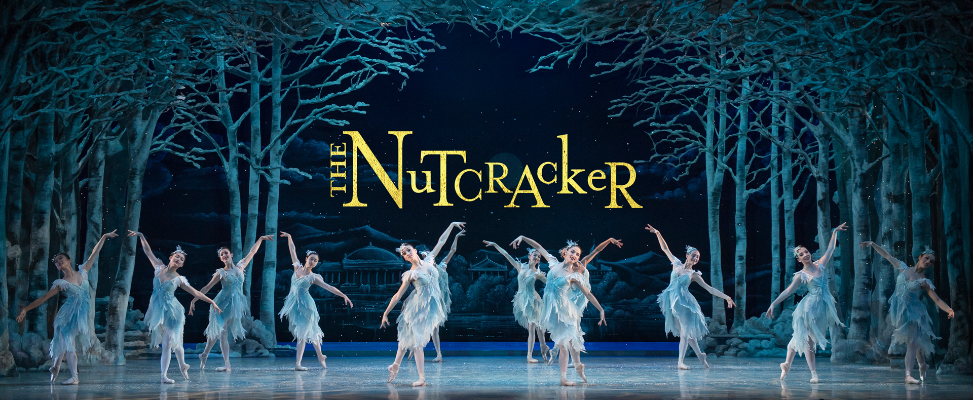 2020-21 Season: Washington Ballet - Washington Ballet - Ballet Alert!