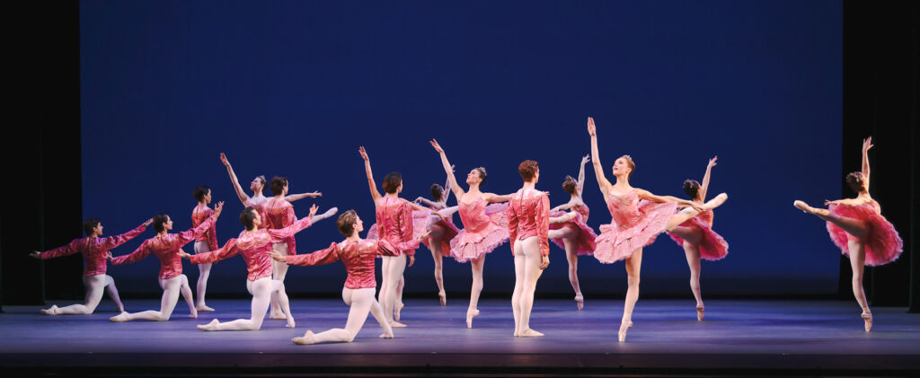 Aurora’s Wedding Casting | The Washington Ballet